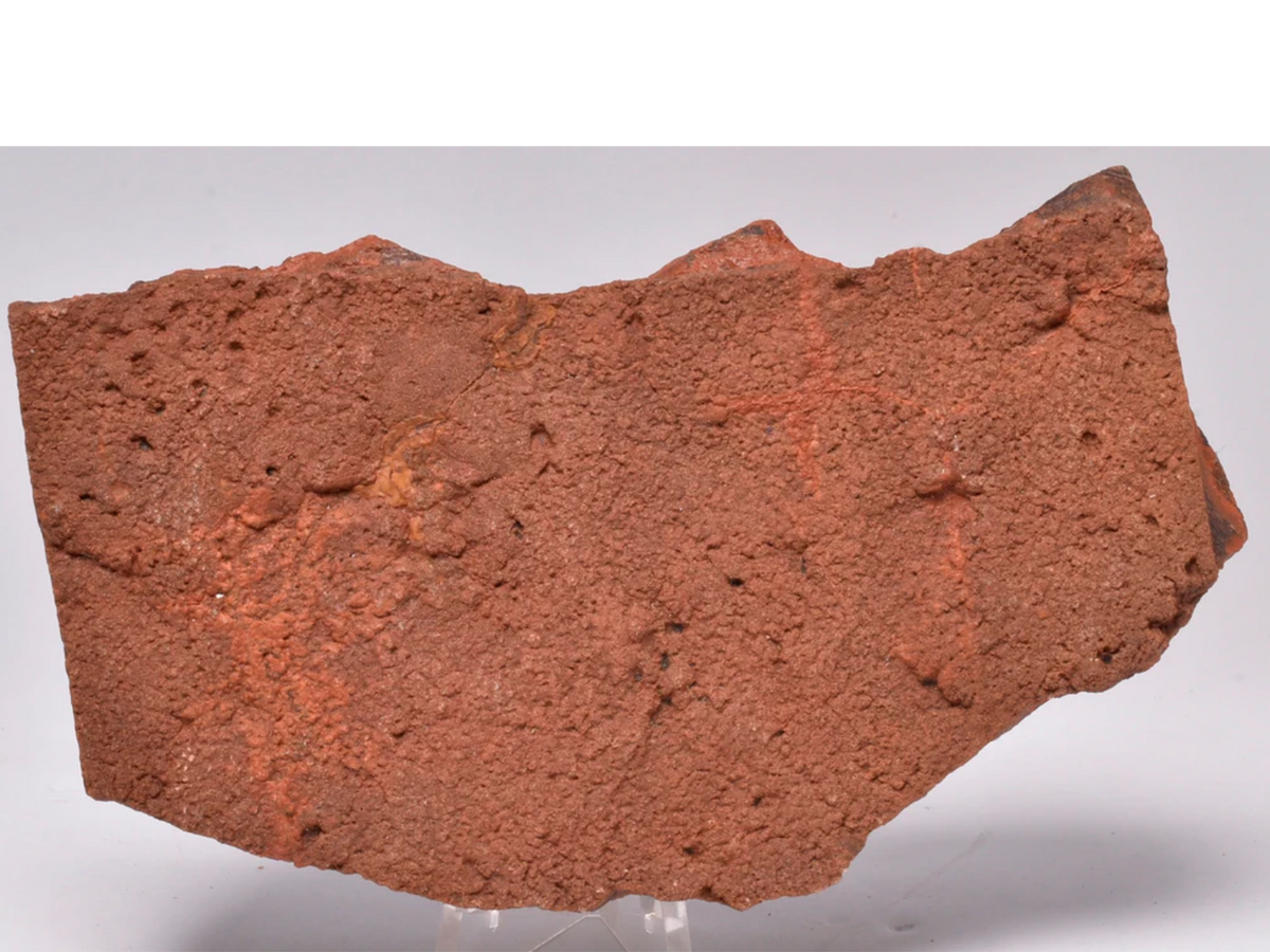Horodyskia - An Ancient Mesoproterozoic Fossil from Australia – Crystal ...