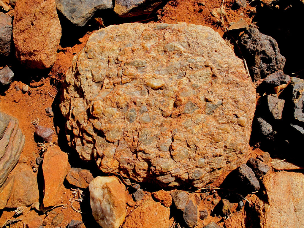 Jack Hills Zircons and the Discovery of Ancient Carbon and Water ...