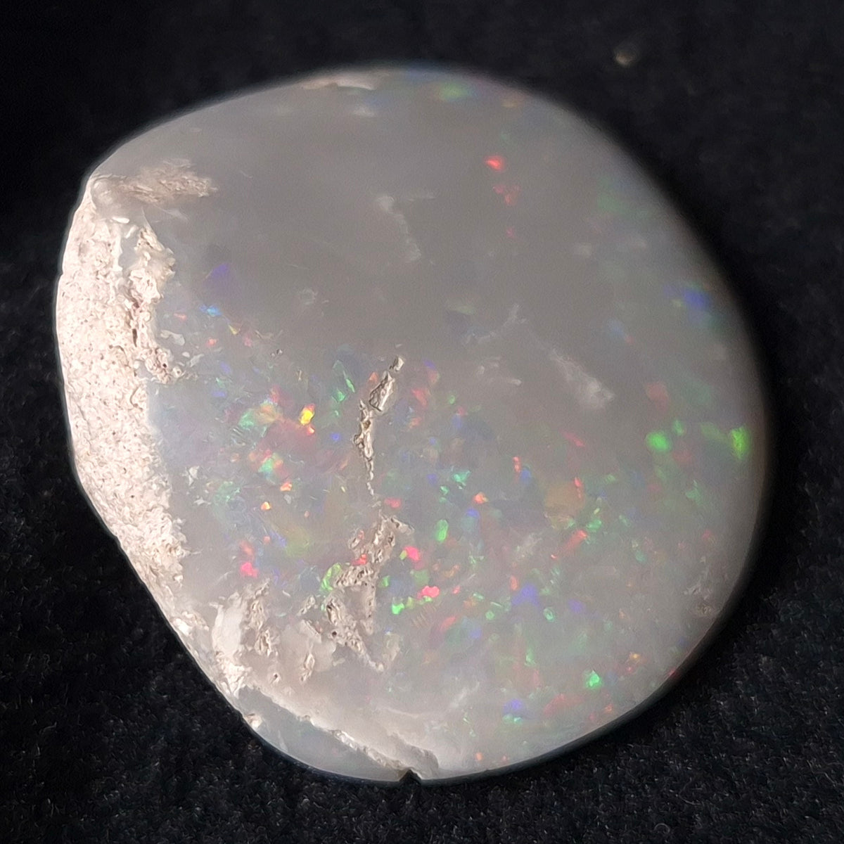 OPAL SHELL CYRENOPSIS sp. Cretaceous, Australia YOS003 – Crystal World ...