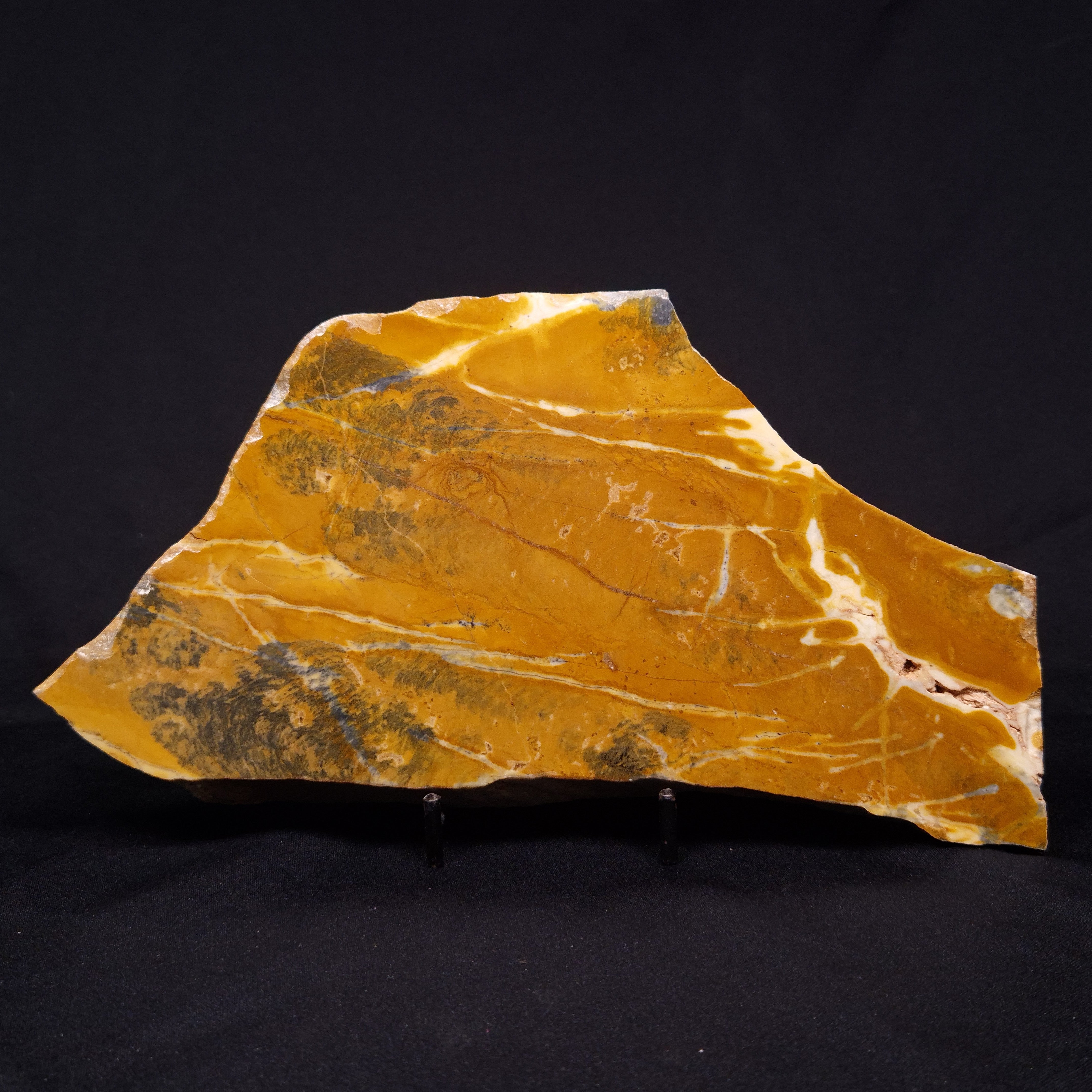 PILBARIA PERPLEXA STROMATOLITE, Australia ZPP014 – Crystal World ...