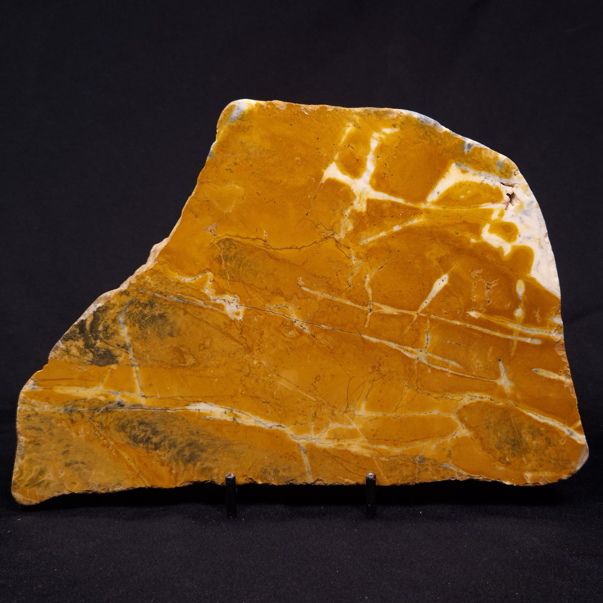 PILBARIA PERPLEXA STROMATOLITE, Australia ZPP019 – Crystal World ...