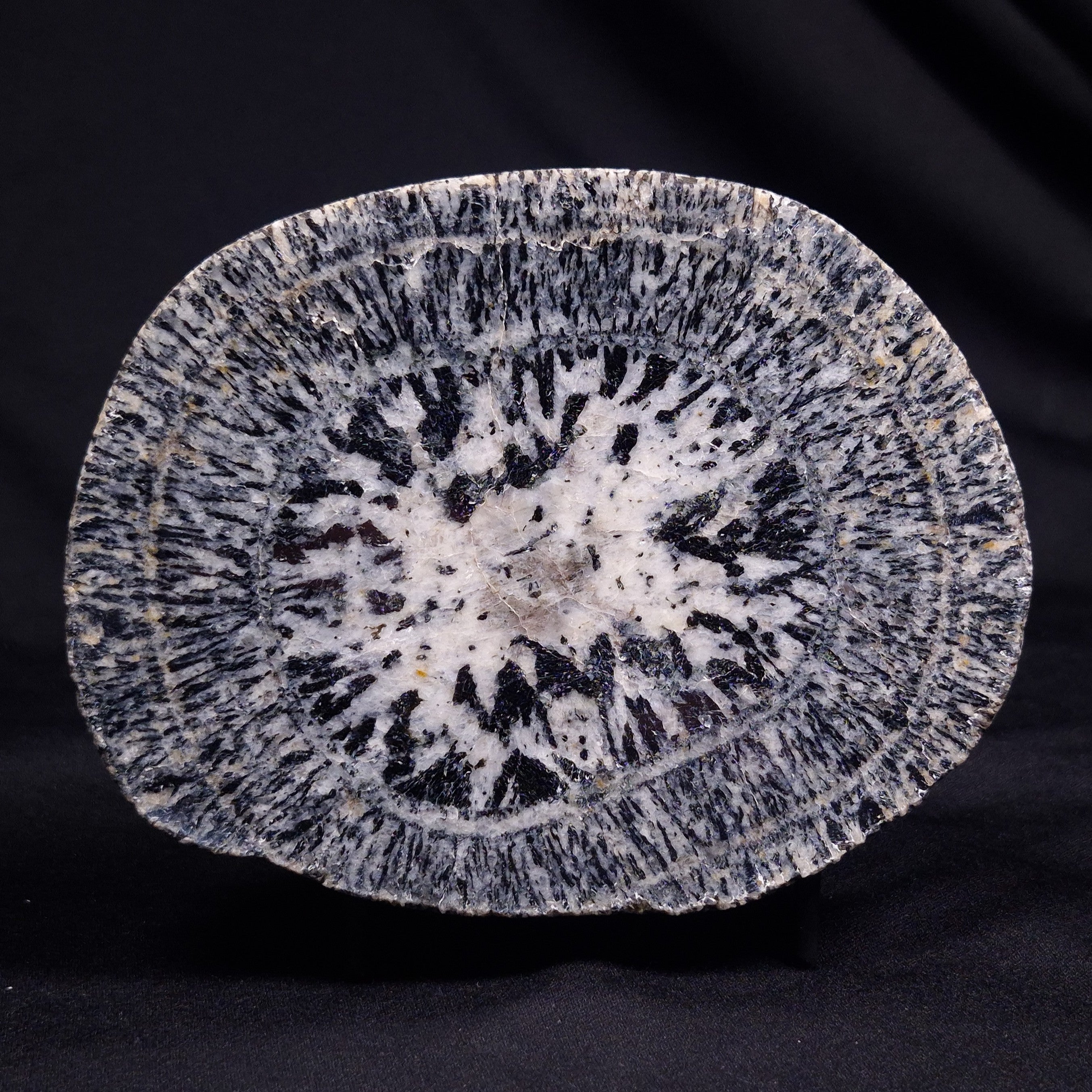 ORBICULAR GRANITE NODULE, Australia YOG014 – Crystal World Exhibition ...