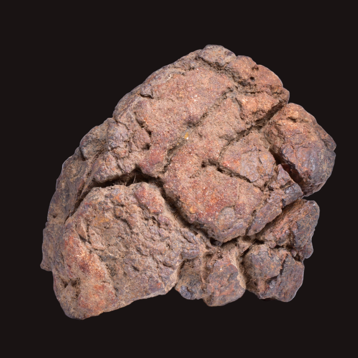 WOLF CREEK SHALE BALL METEORITE MT134 – Crystal World Exhibition Centre ...