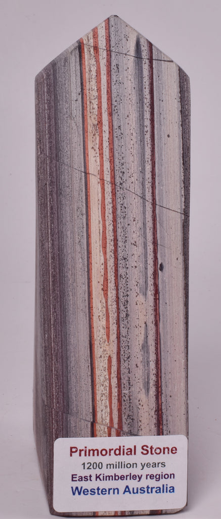 PRIMORDIAL STONE, POLISHED FOSSIL CARVING 1200 MYO, AUSTRALIA P173 ...