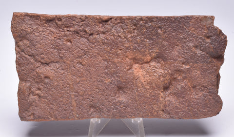 Fossils – Page 2 – Crystal World Exhibition Centre