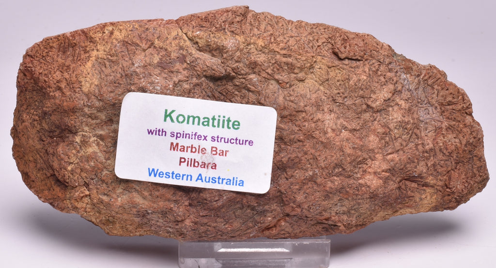 KOMATIITE WITH SPINIFEX STRUCTURE, PILBARA, WESTERN AUSTRALIA S1320 ...