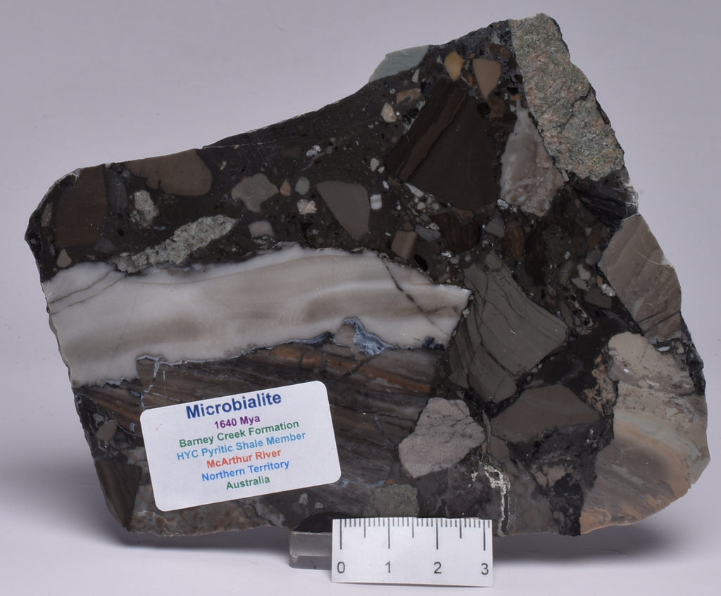 MICROBIALITE, 1640 mya BARNEY CREEK FORMATION, McARTHUR RIVER, AUSTRAL ...