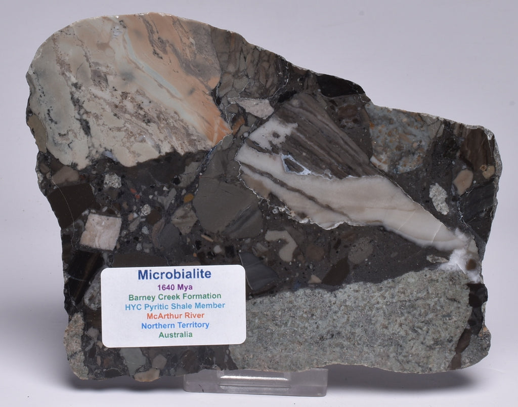 MICROBIALITE, STROMATOLITE, 1640 mya BARNEY CREEK FORMATION, McARTHUR ...