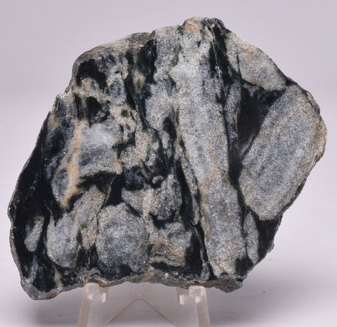 Fossils – Crystal World Exhibition Centre