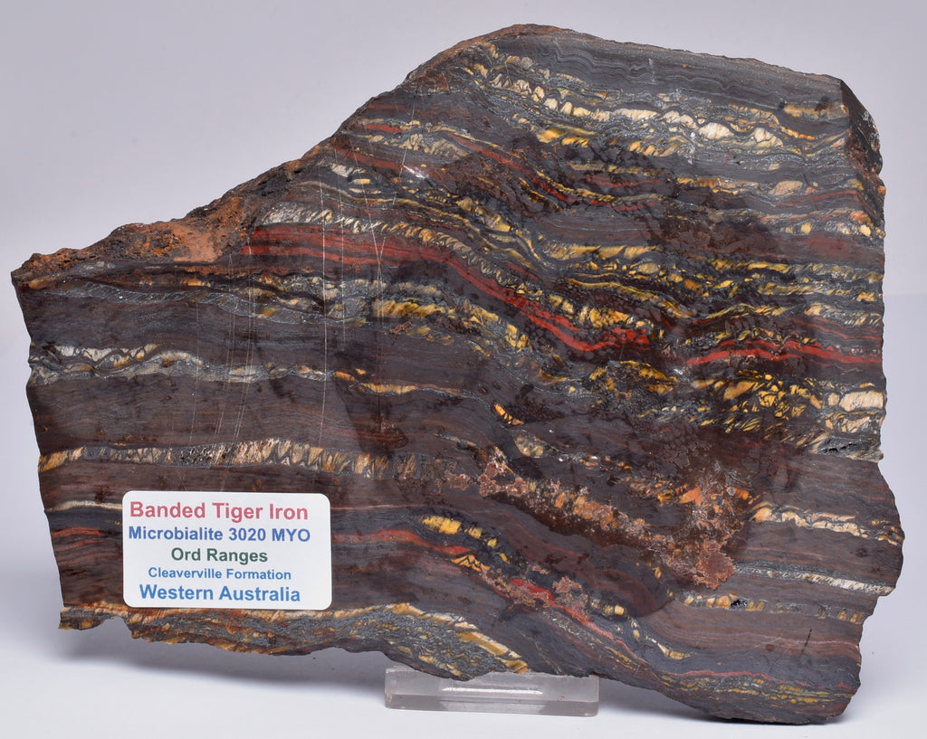 BANDED TIGER IRON Polished Slice, AUSTRALIA S401 – Crystal World ...