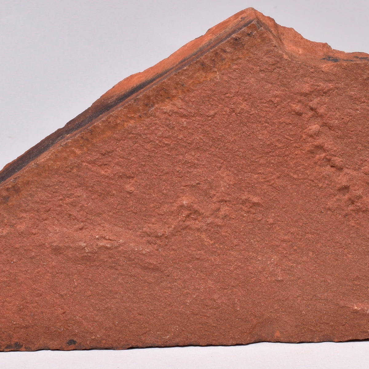 HORODYSKIA Mesoproterozoic 1.4 B.Y.O, AUSTRALIAN FOSSIL F32 – Crystal ...