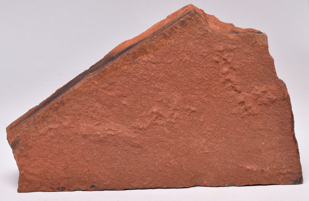 HORODYSKIA Mesoproterozoic 1.4 B.Y.O, AUSTRALIAN FOSSIL F32 – Crystal ...