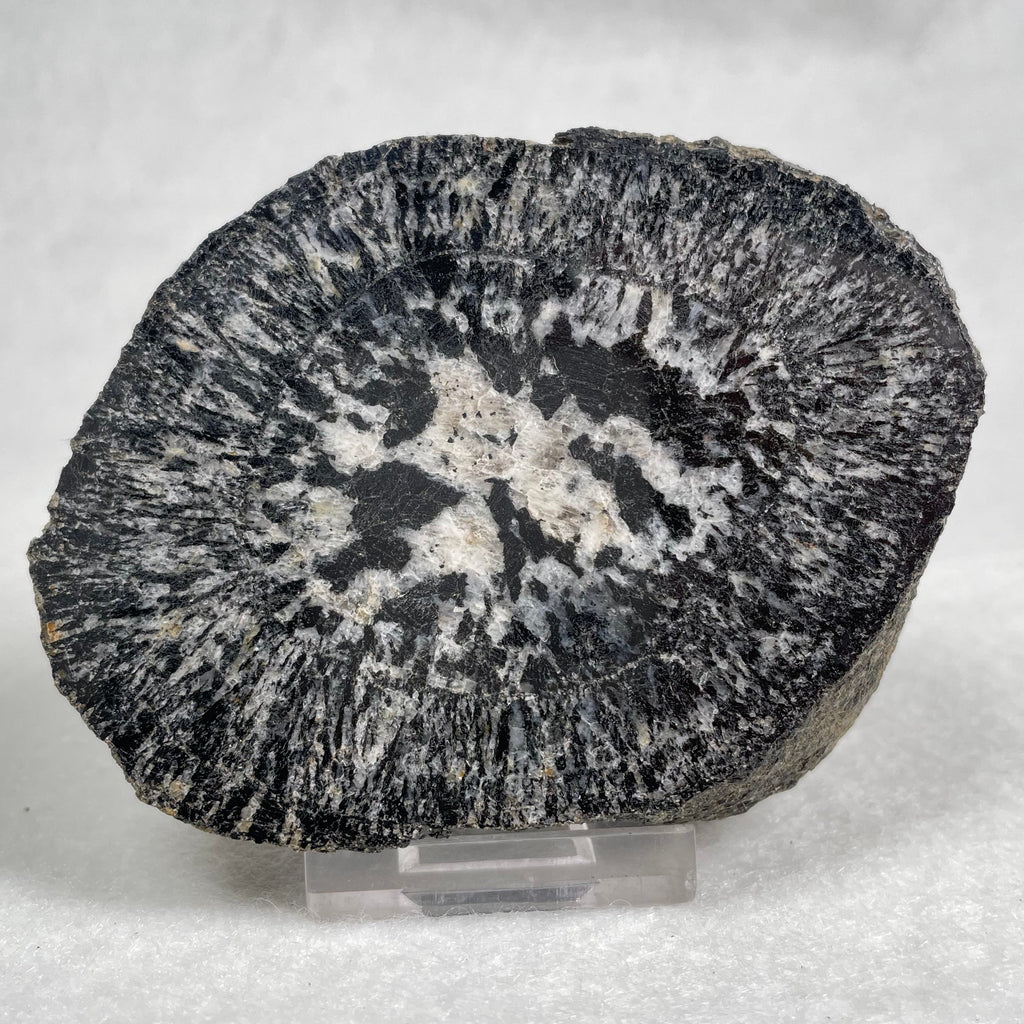 Orbicular Granite Nodule Polished YOG003 – Crystal World Exhibition ...