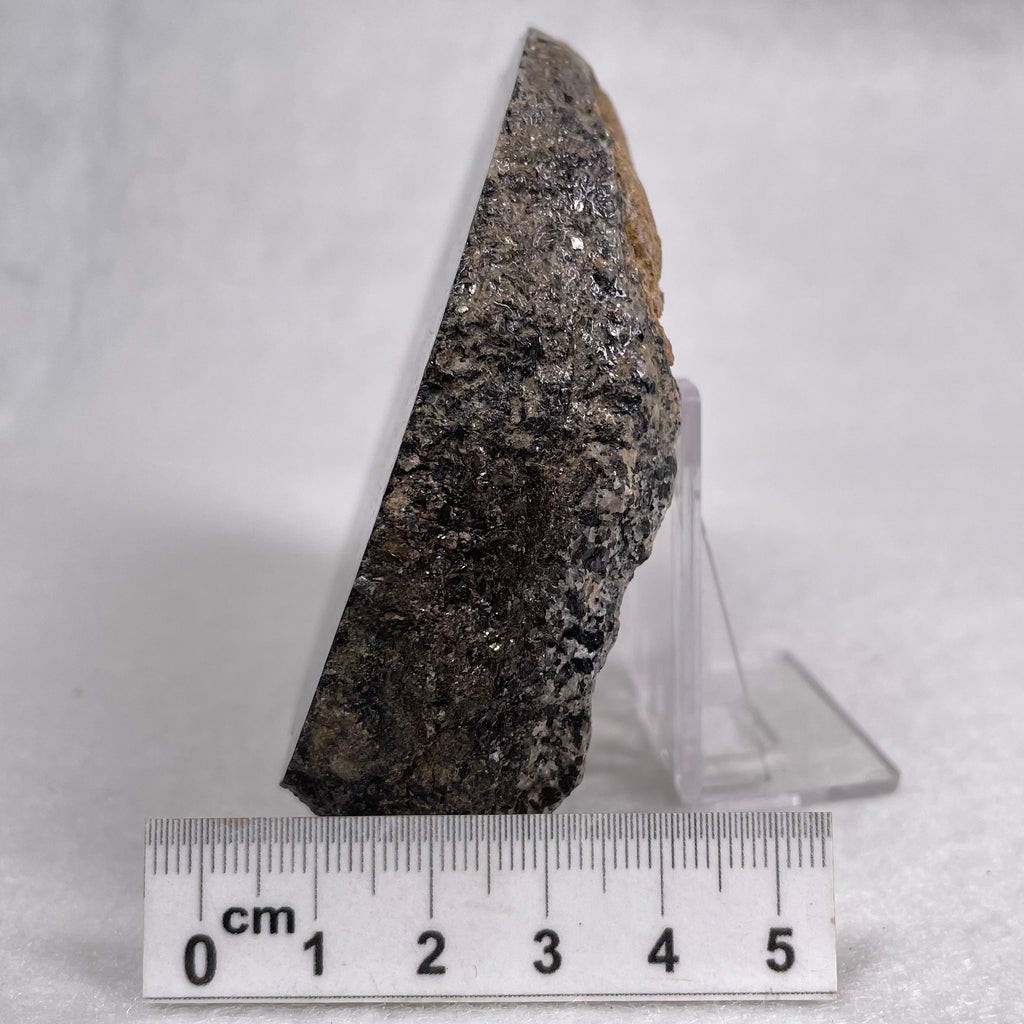 Orbicular Granite Nodule Polished YOG005 – Crystal World Exhibition ...