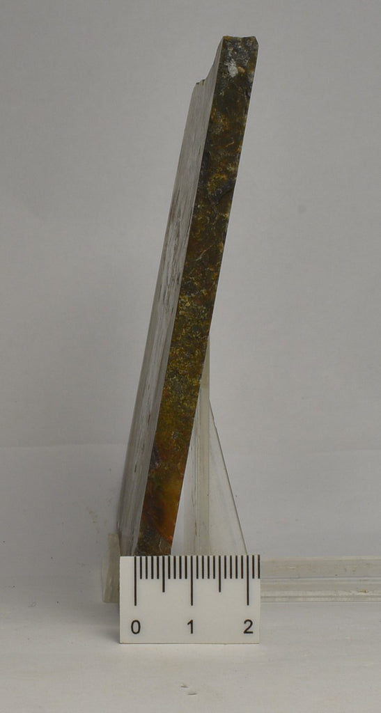 MARY ELLEN JASPER STROMATOLITE, Collenia undosa, S1120 – Crystal World ...