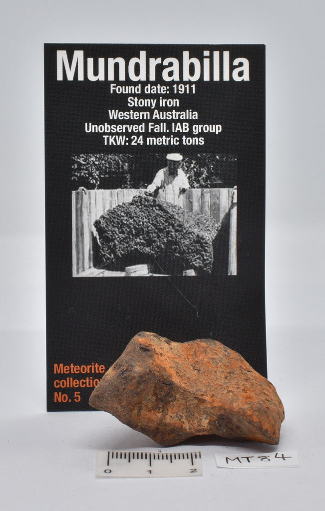 MUNDRABILLA IRON METEORITE 83 GRAMS MT84 – Crystal World Exhibition ...