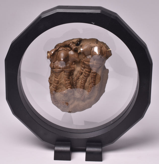 Crystal World Exhibition Centre – Crystal World Exhibition Centre and Sales